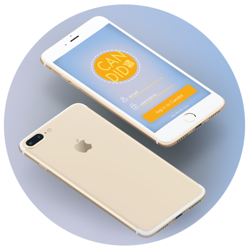 dynamic design solutions